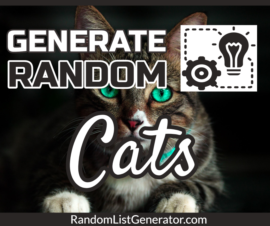 Random Animal Generator
